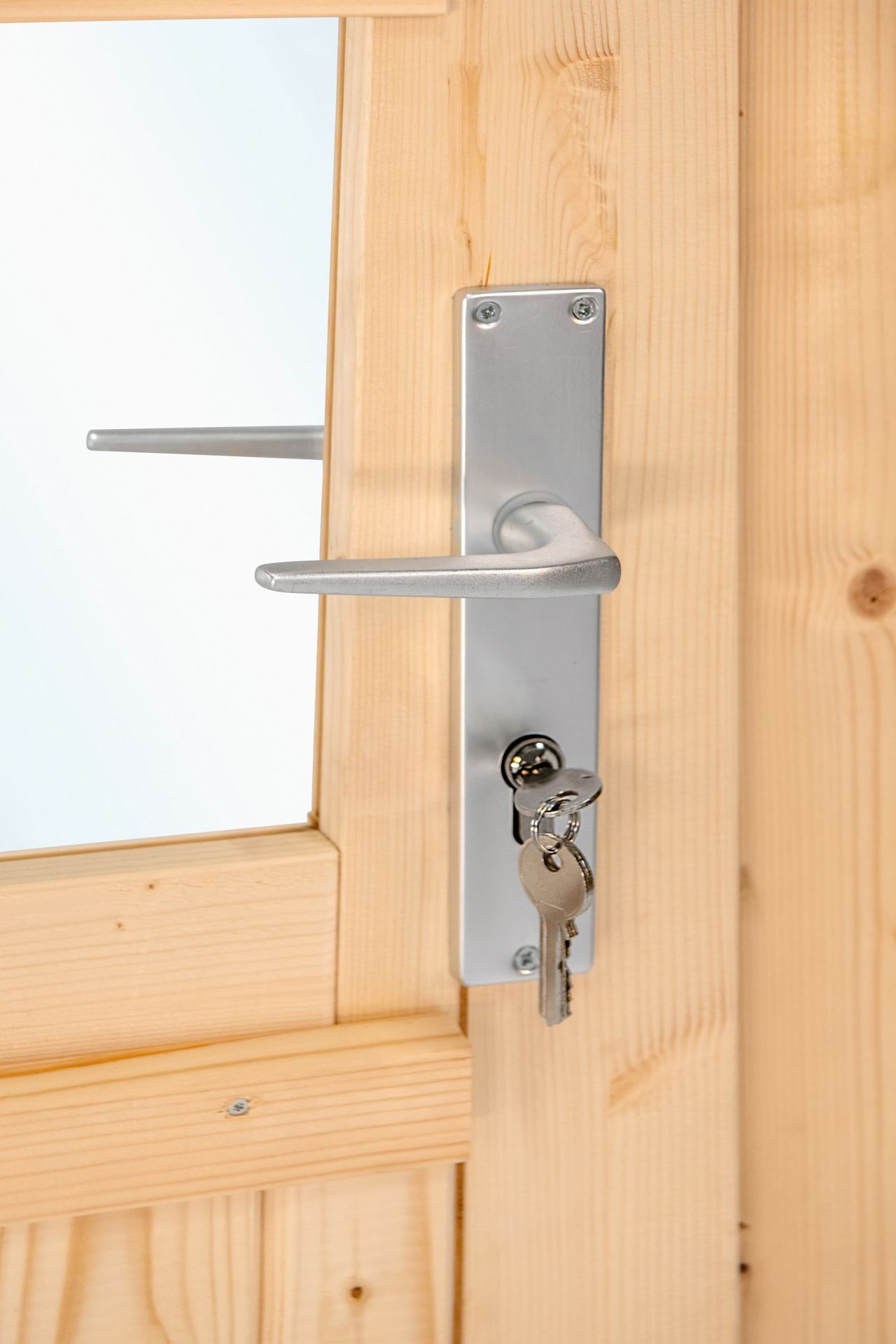 Porte vitrée pour abri de jardin en pin